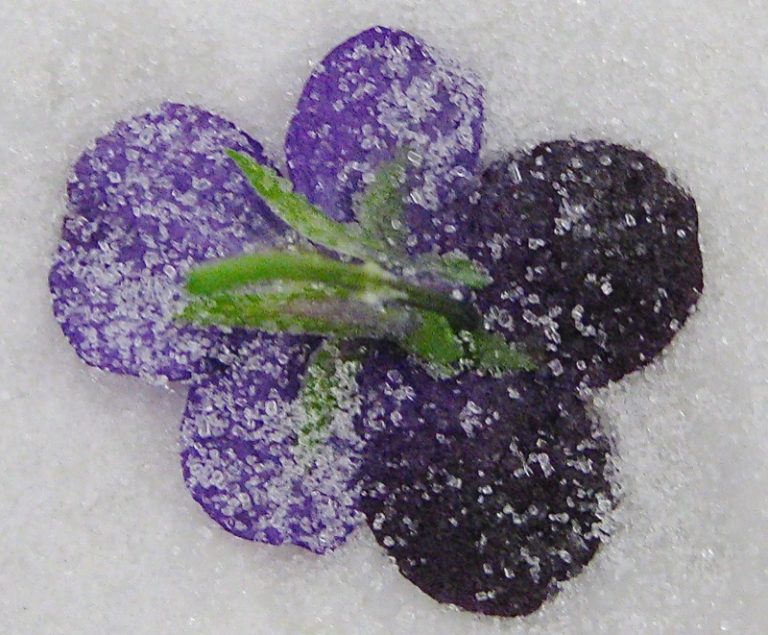 Candied or Sugared Violets: A Spectacular Garnish
