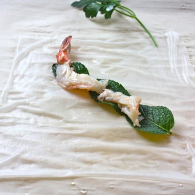 Rice Paper Rolls: Garden Fresh Salad Wrapped in Edible Paper! - A ...