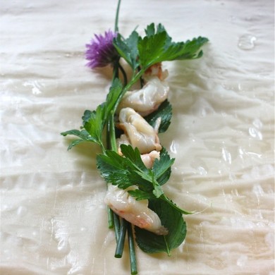 Rice Paper Rolls: Garden Fresh Salad Wrapped in Edible Paper! - A ...