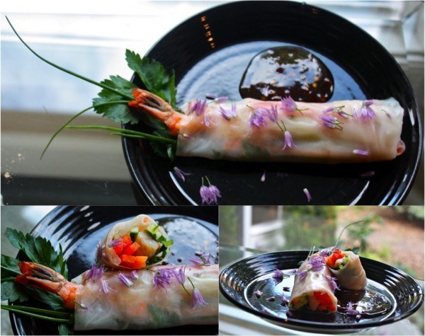 Rice Paper Rolls: Garden Fresh Salad Wrapped in Edible Paper! - A ...