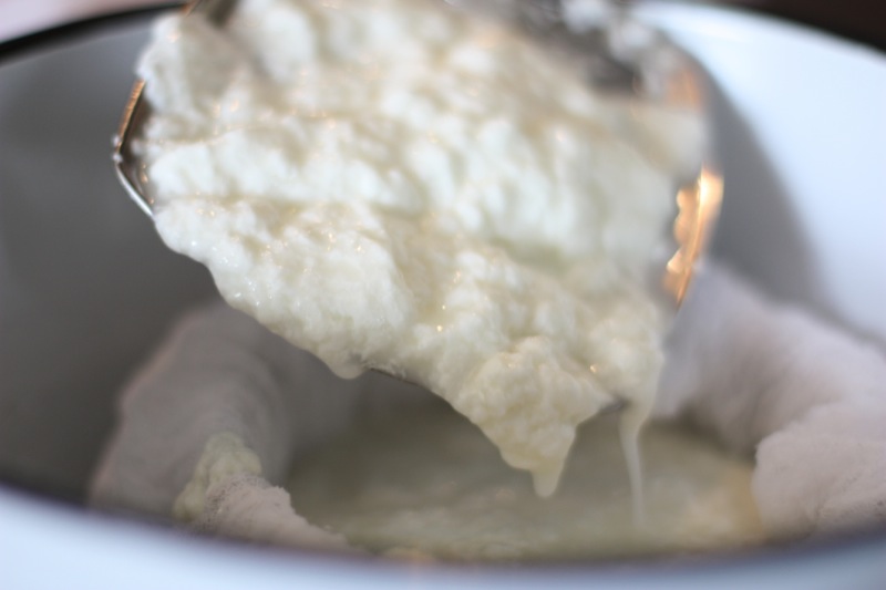 Homemade Chèvre - A Canadian Foodie