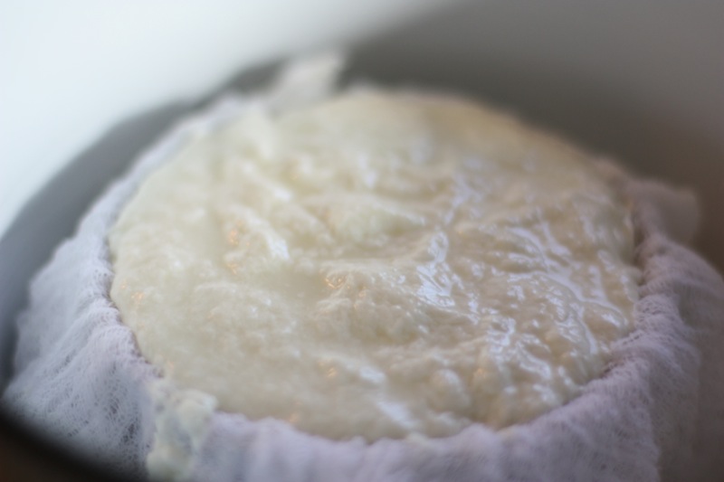 Homemade Chèvre - A Canadian Foodie