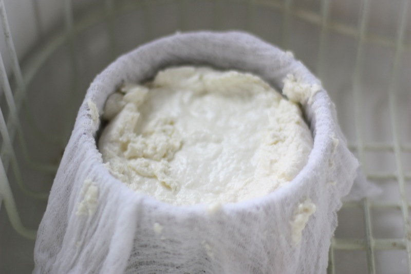 Homemade Chèvre - A Canadian Foodie