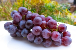 Classic Preparation of Concord Grapes