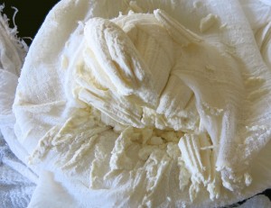 Homemade Quark Cheese
