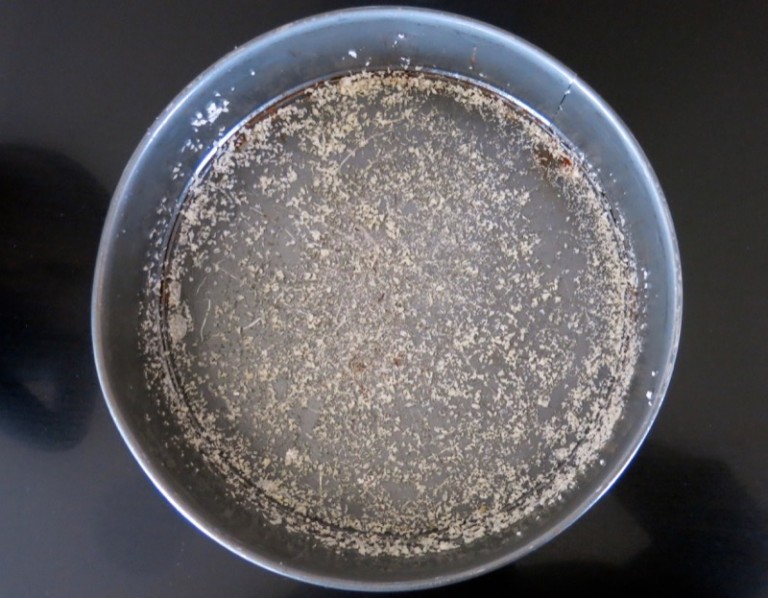 Homemade Quark Cake or Käsekuchen Mit Quark with Homemade Quark