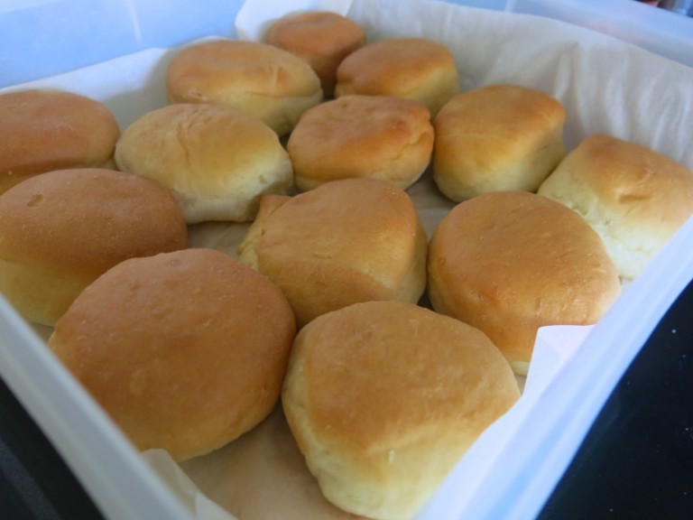 Canadian Holiday Basic: Turkey on a Bun with Cranberry Sauce