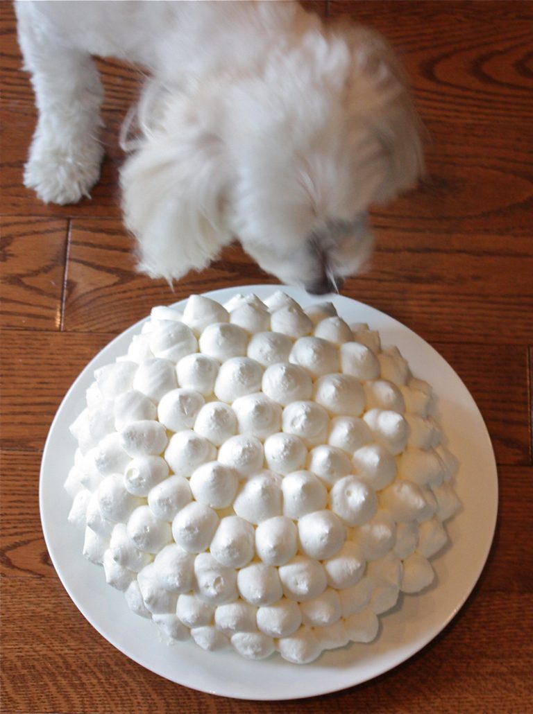 Pava Lugonja's Bomba Torta Recipe: The Traditional Family Birthday Cake