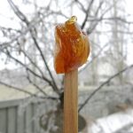Canadian Maple Syrup Taffy Candy: An Eastern Canadian Tradition