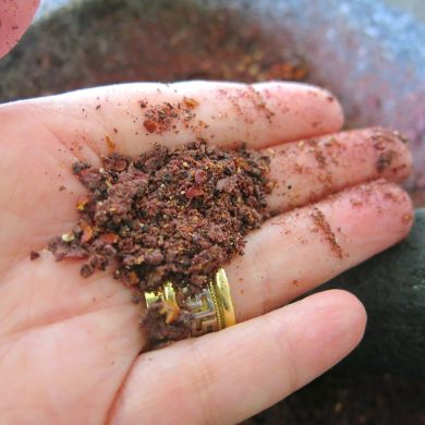 Homemade Pemmican: Cooking in the Kitchen with Chef Shane Chartrand of ...