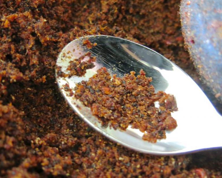 Homemade Pemmican: Cooking in the Kitchen with Chef Shane Chartrand of ...