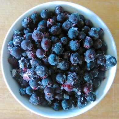 Homemade Pemmican: Cooking in the Kitchen with Chef Shane Chartrand of ...