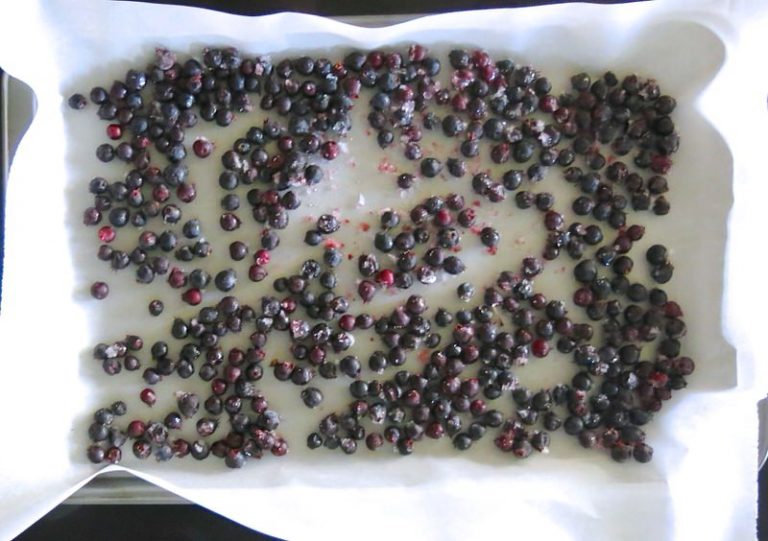 Homemade Pemmican: Cooking in the Kitchen with Chef Shane Chartrand of ...