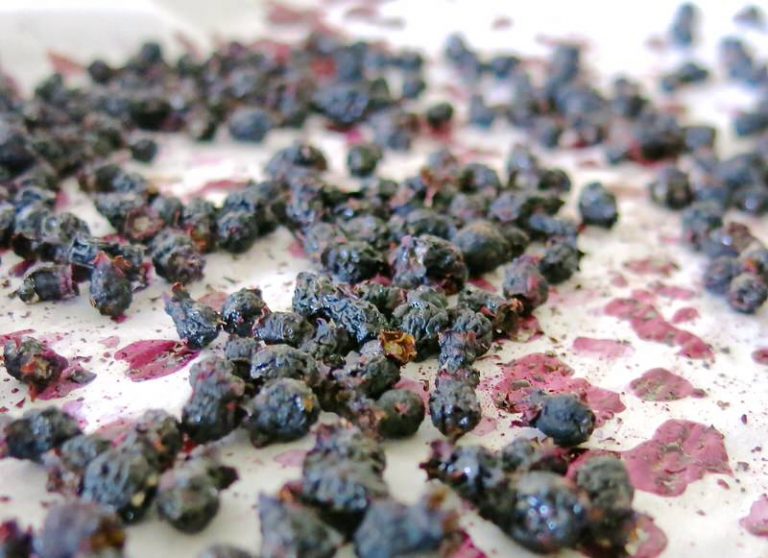 Homemade Pemmican: Cooking in the Kitchen with Chef Shane Chartrand of ...