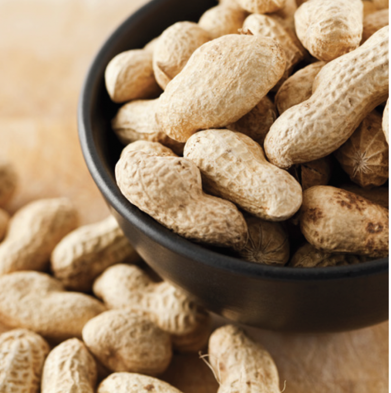 Peanut Bureau of Canada: Headed to the Peanut Harvest Festival!