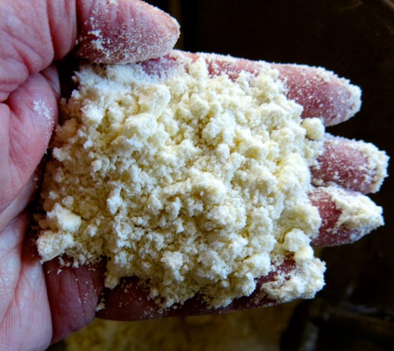 Thermomix Sweet Paste or Pâte Sucrée created by Chef Don Pattie